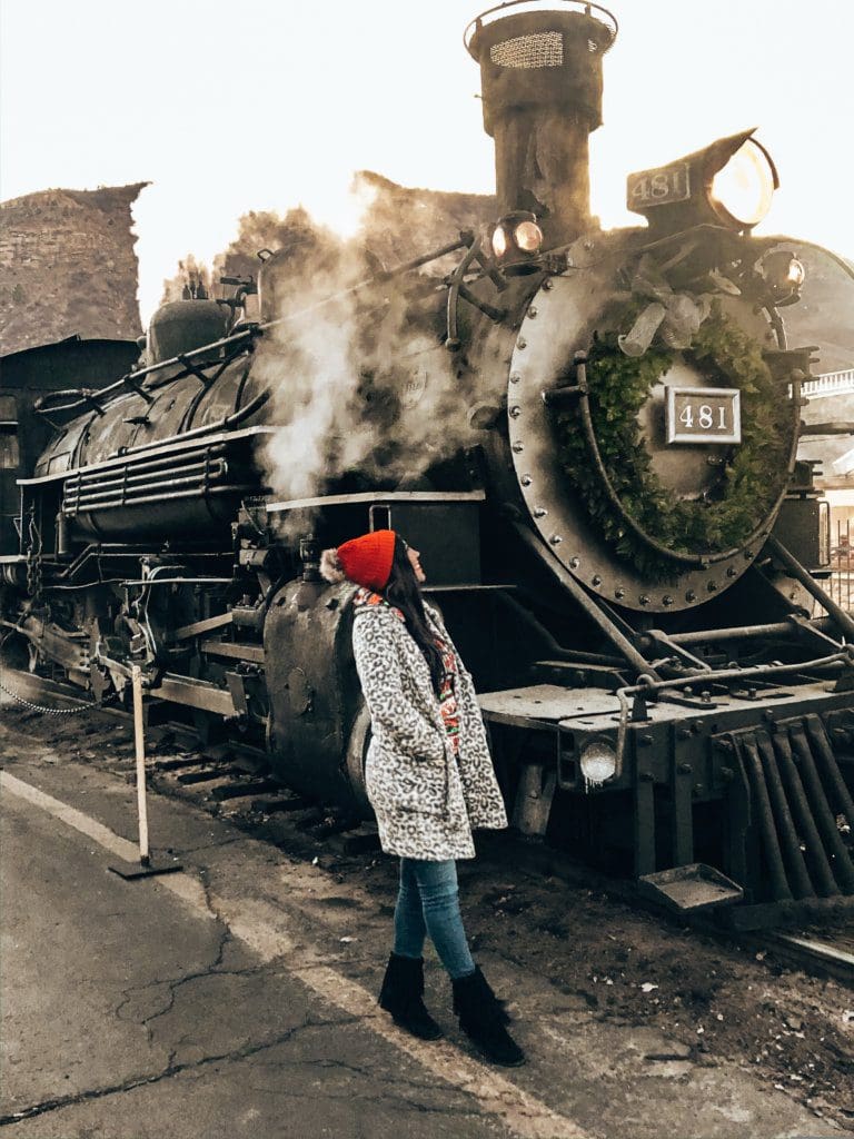 The Real Life POLAR EXPRESS - The Wanderlust Rose