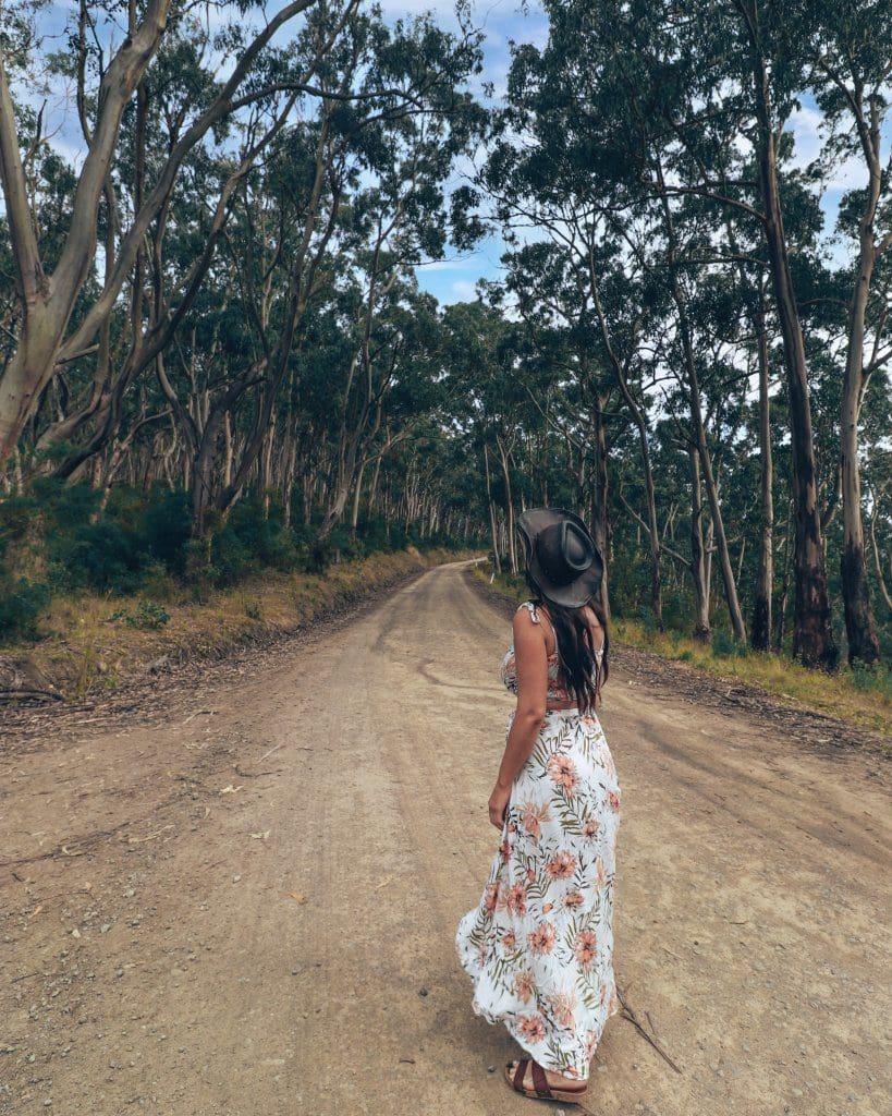 Great Ocean Road: Your Ultimate 2 Day Itinerary - The Wanderlust Rose