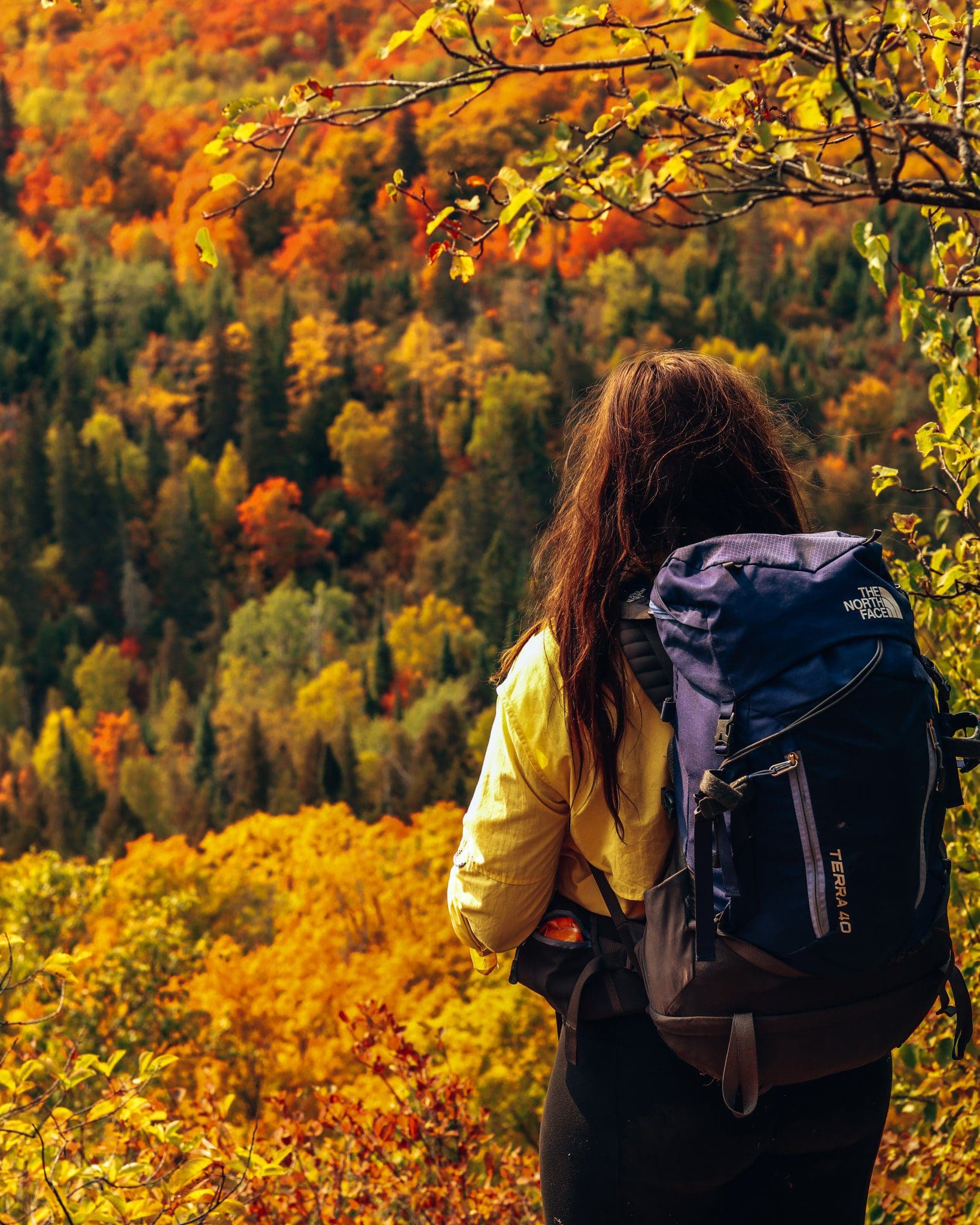 8 Amazing Reasons To Try Backpacking in Minnesota - The Wanderlust Rose