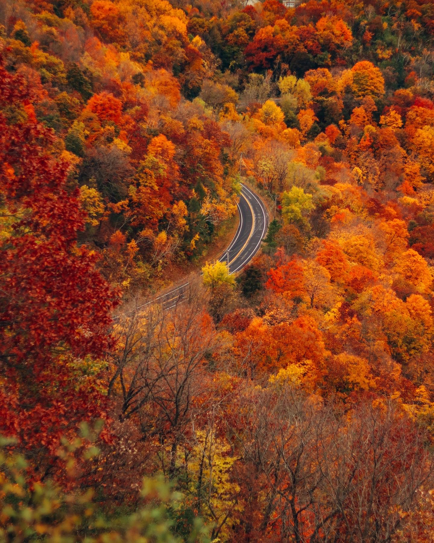 Winona MN Fall Colors Add It To Your Minnesota Bucket List The Winona MN Fall Colors Add It To Your Minnesota Bucket List The