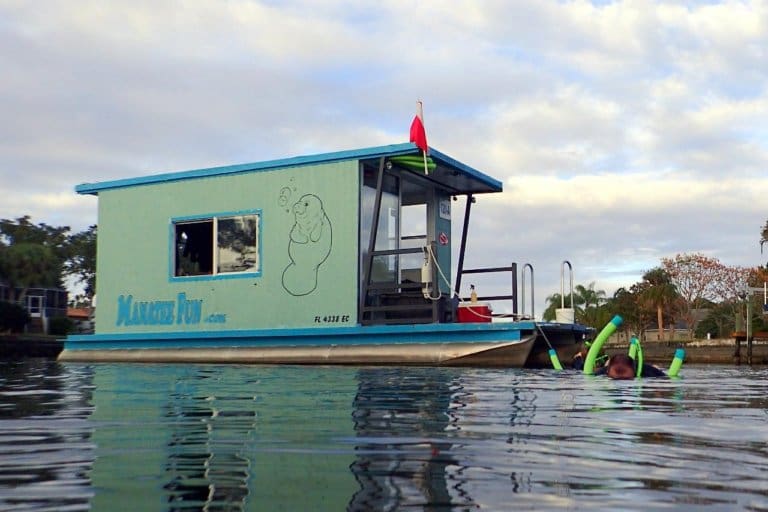 Swimming With Manatees in Florida - The Wanderlust Rose