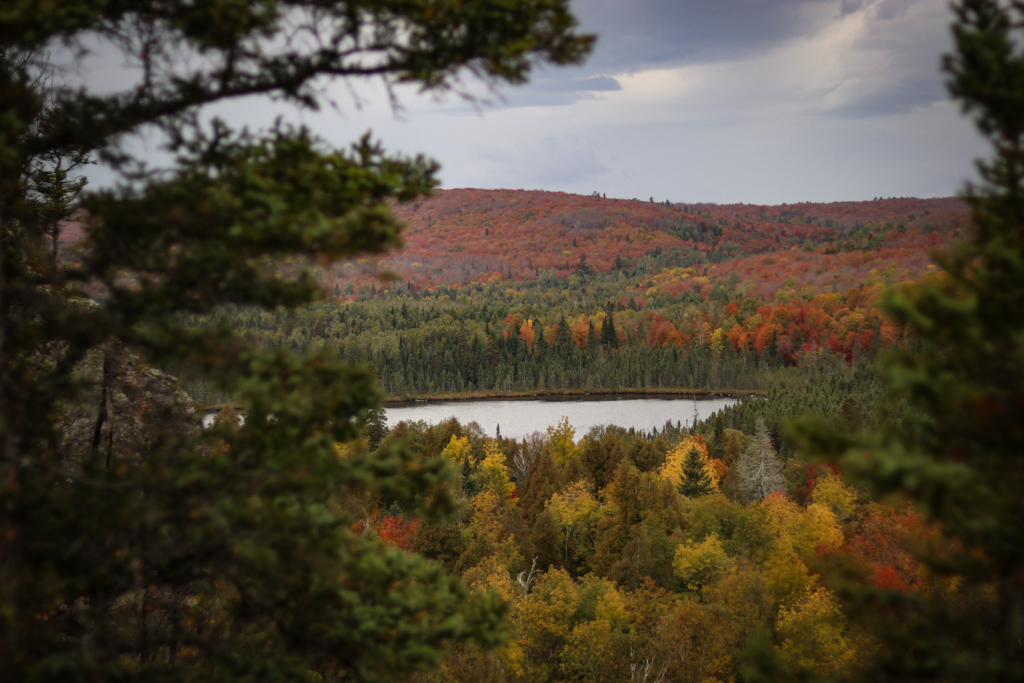 Places You Can't Miss For Fall Foliage in Minnesota - The Wanderlust Rose