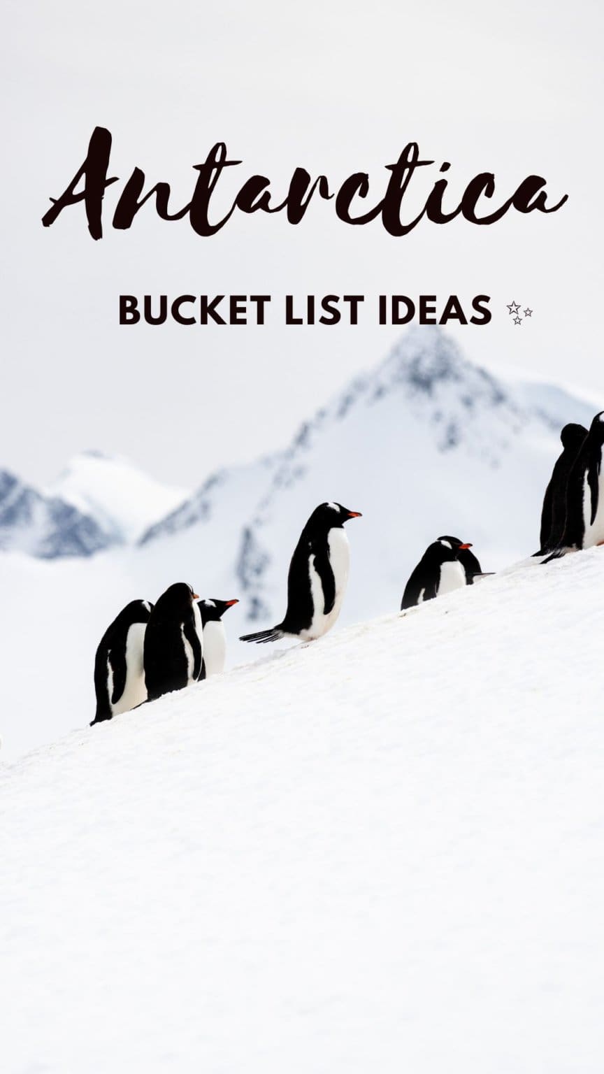 Antarctica Bucket List Ideas: 13 Amazing Things To Do On The White ...