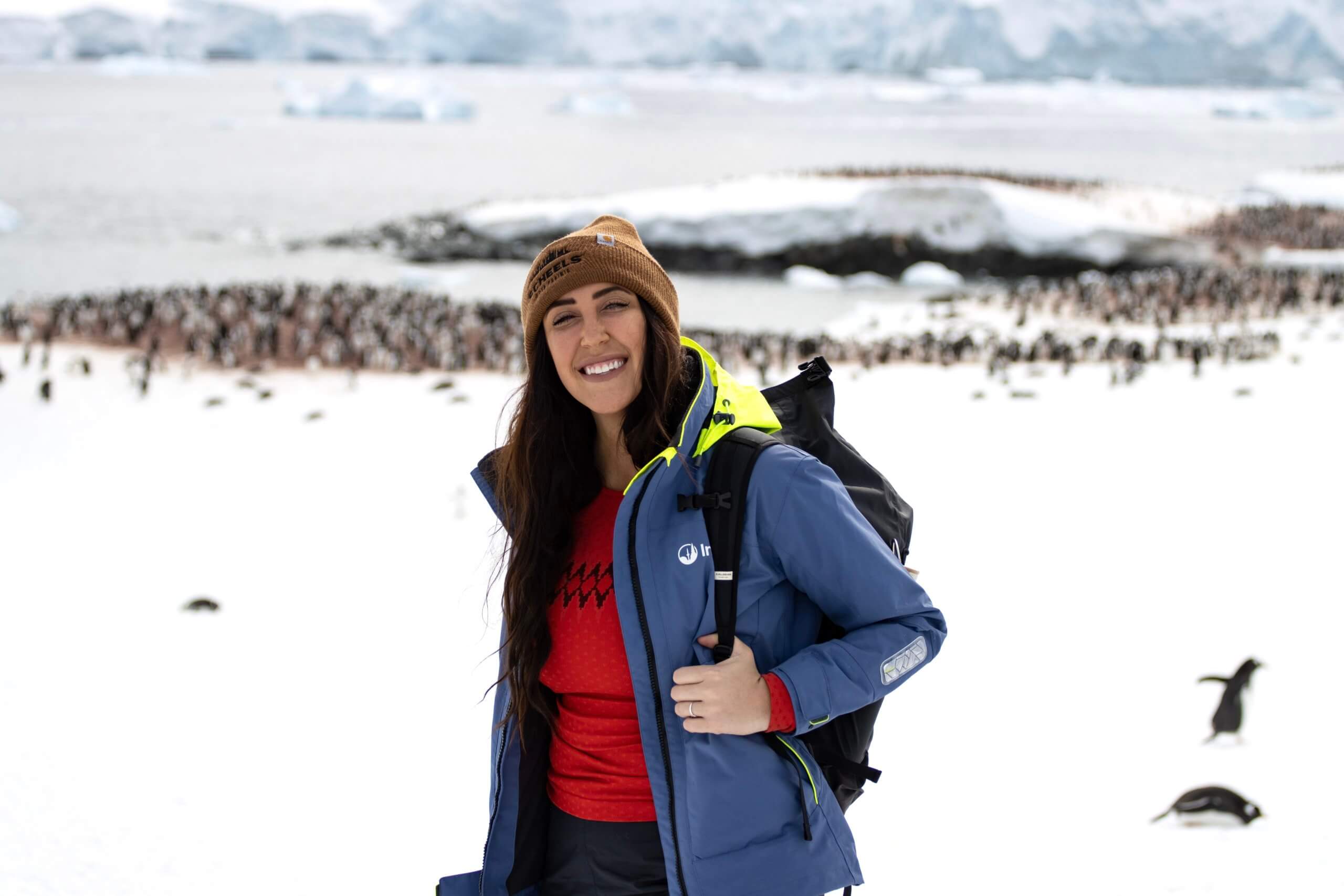 Antarctica Bucket List Ideas: 13 Amazing Things To Do On The White ...