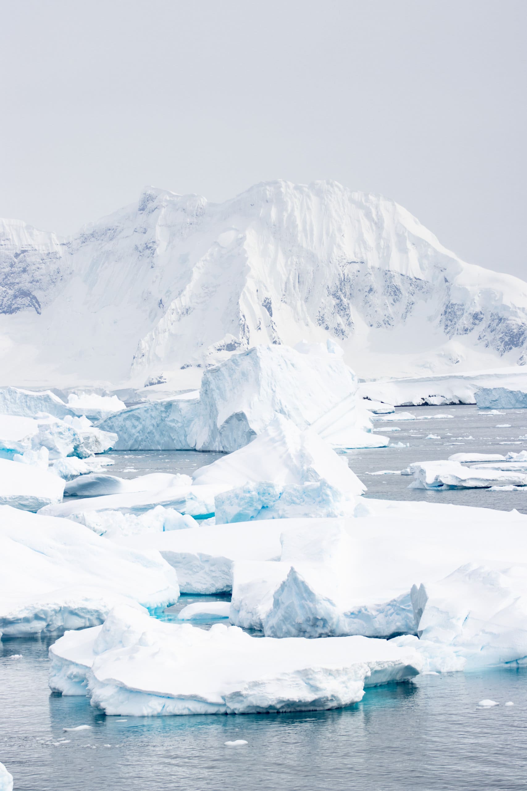 Antarctica Bucket List Ideas: 13 Amazing Things To Do On The White ...