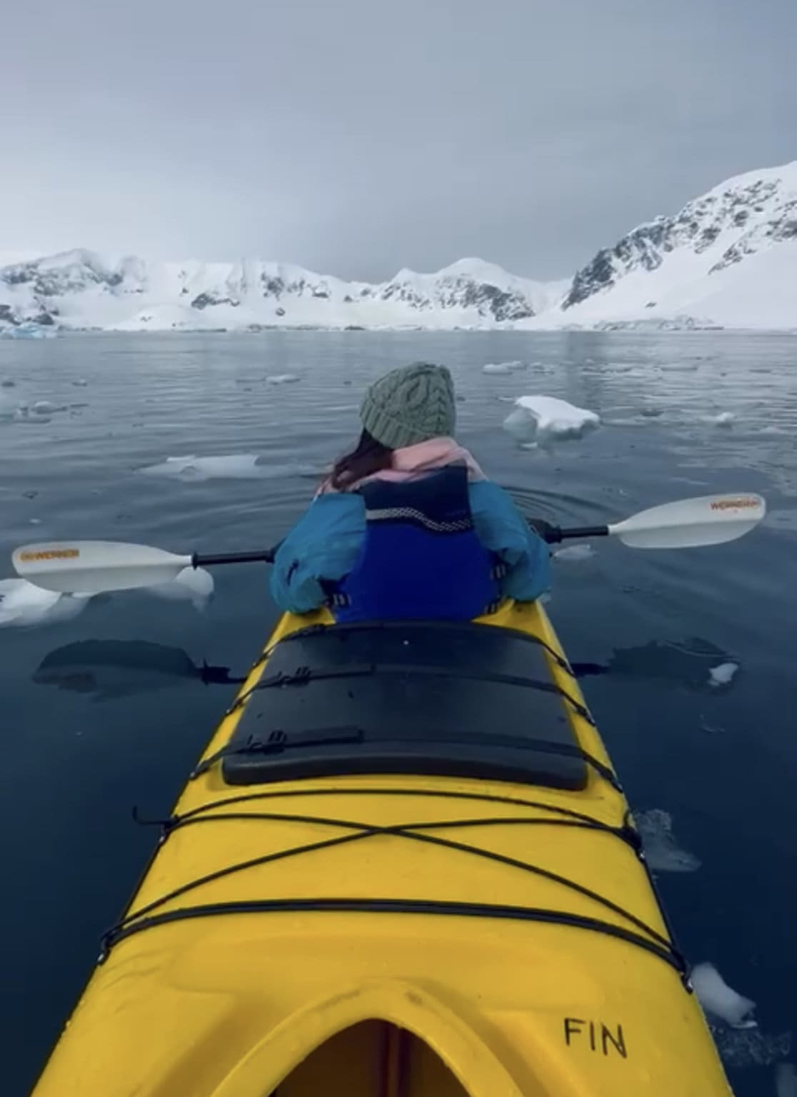 Antarctica Bucket List Ideas: 13 Amazing Things To Do On The White ...