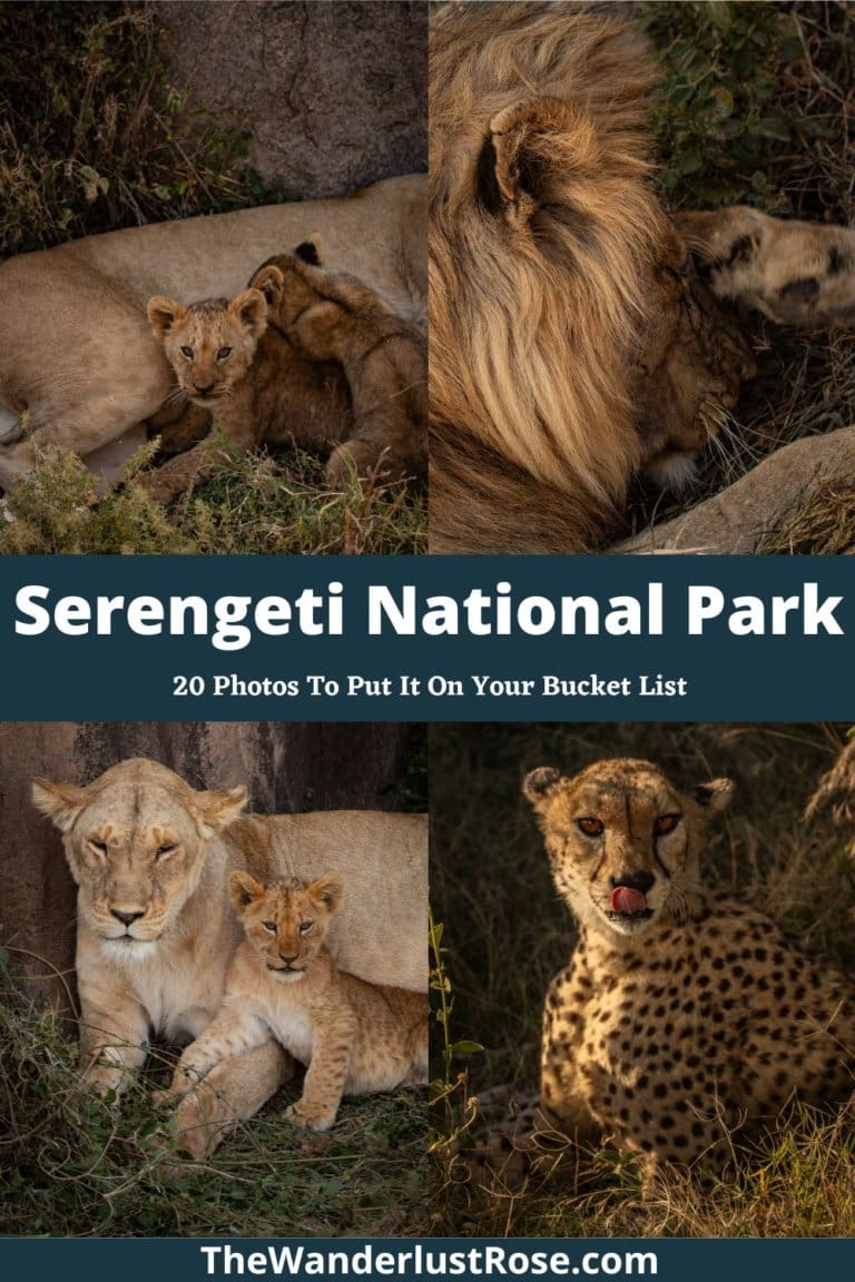 20 Photos To Put Serengeti National Park On Your Bucket List - The ...